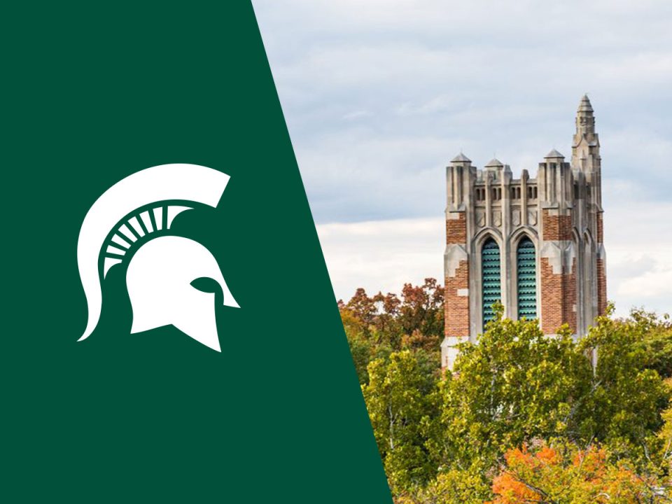 MSU Academic Advancement Network Website | Ciesa